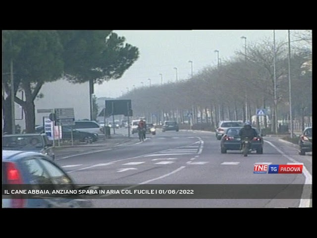 TREBASELEGHE | IL CANE ABBAIA, ANZIANO SPARA IN ARIA COL FUCILE ...