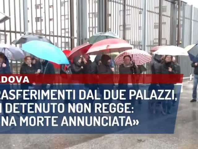 TNE PADOVA TG | 29/01/2026 - TELENORDEST | Medianordest